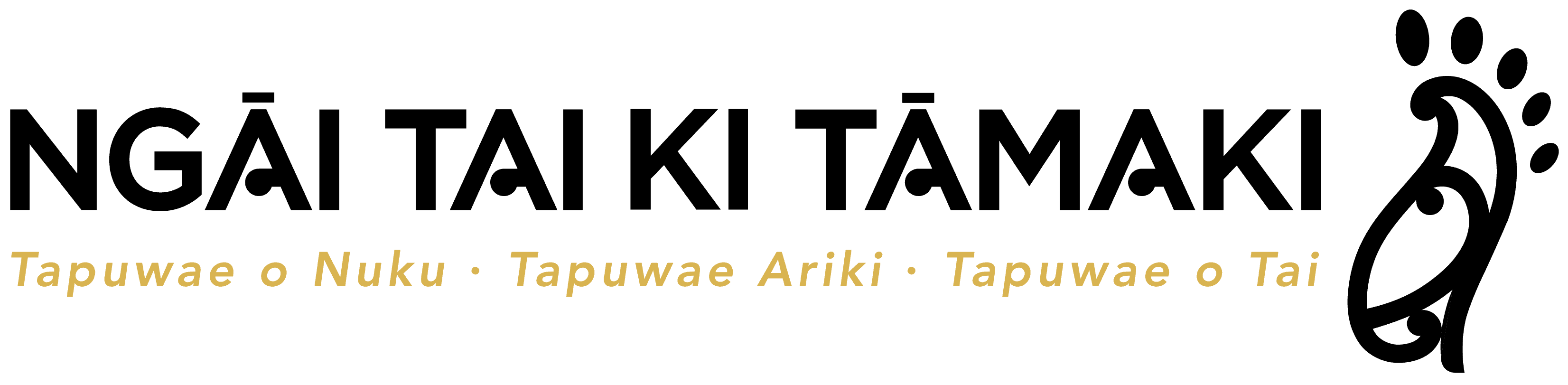 Ngāi Tai ki Tāmaki - Revive Our Taonga - Revive Our Gulf